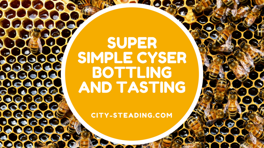 Super Simple Cyser Bottling and Tasting - City Steading Brews