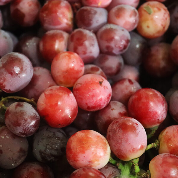 Our TABLE GRAPE Wine is One Year! - City Steading Brews